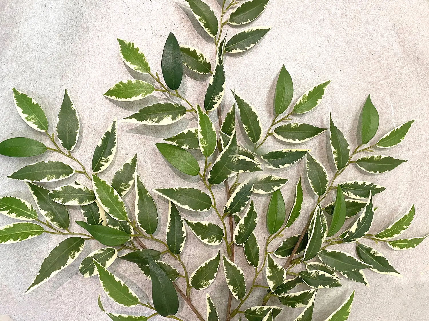 Faux Variegated Smilax Stem - Floral Home and Holiday